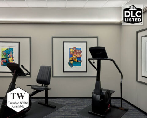 Paladia Perimeter Wall Mount – Classical Fascia | PAL Architectural